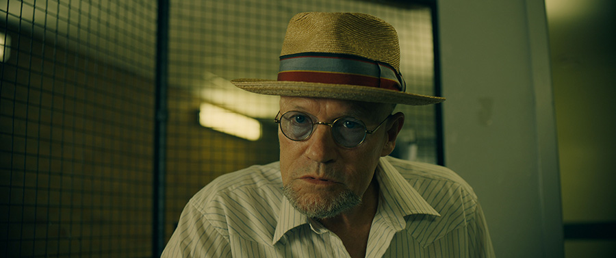 Maximum Security (DVD) kaufen | PLAION